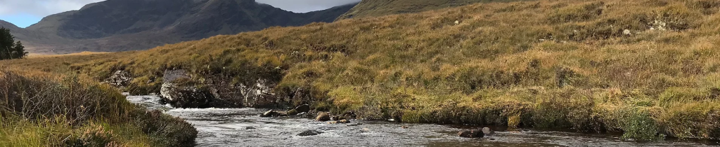 Home - Wild Atlantic Nature
