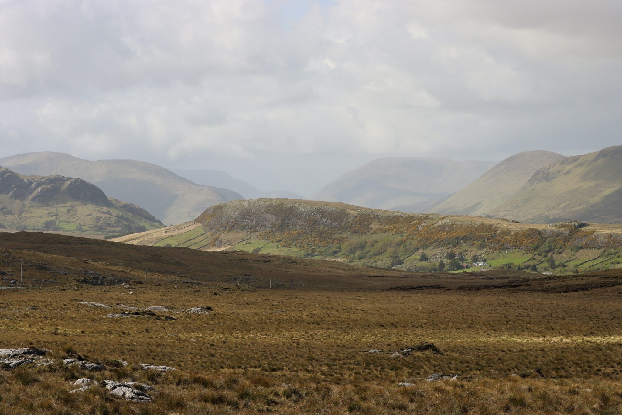 Wild Atlantic Nature Perspectives - Wild Atlantic Nature