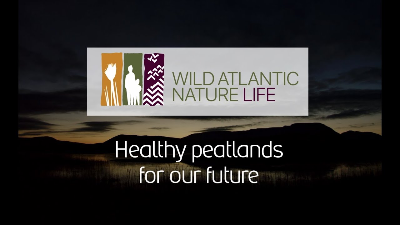 Wild Atlantic Nature